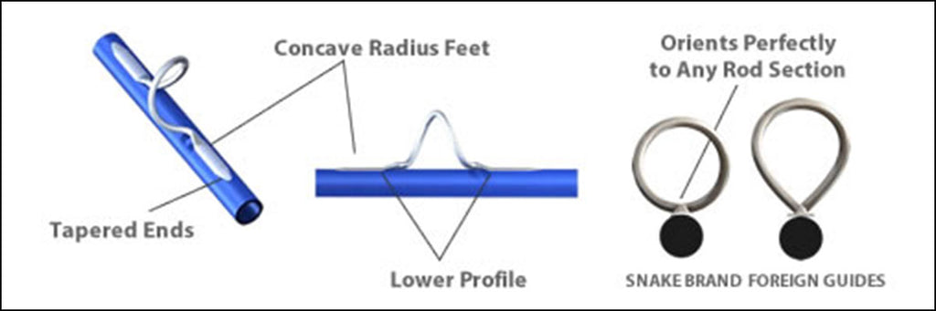 The Anatomy of the Universal Snake Guide – snakeguides