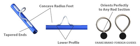 The Anatomy of the Universal Snake Guide – snakeguides
